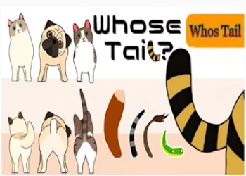 Whose Tail - Free animal Game | PlotyGames